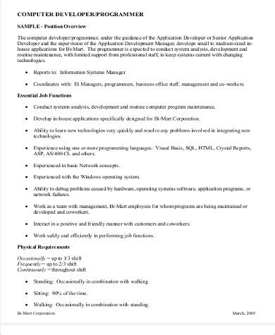 FREE Programmer Job Description Samples In MS Word PDF