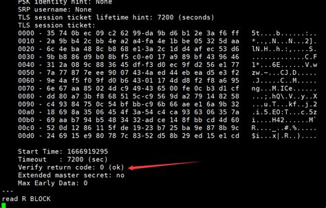 Tls Process Server Certificatecertificate Verify Failed