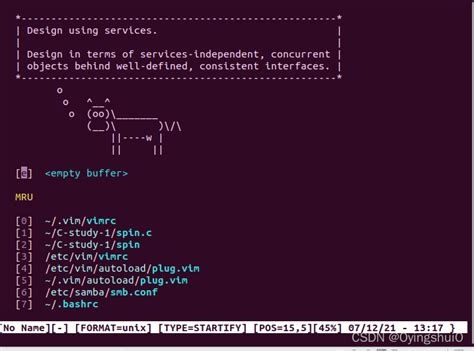 linux系统ubuntu vim安装plugin ubuntu如何安装vim插件 oyingshuio的博客 csdn博客
