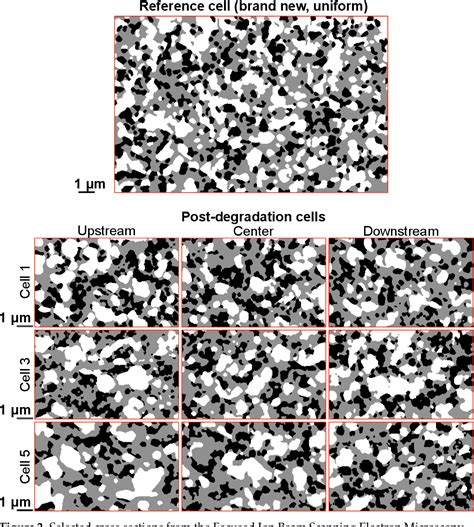 Solid Oxide Fuel Cell Electrode Microstructure At Phillip Dorsey Blog