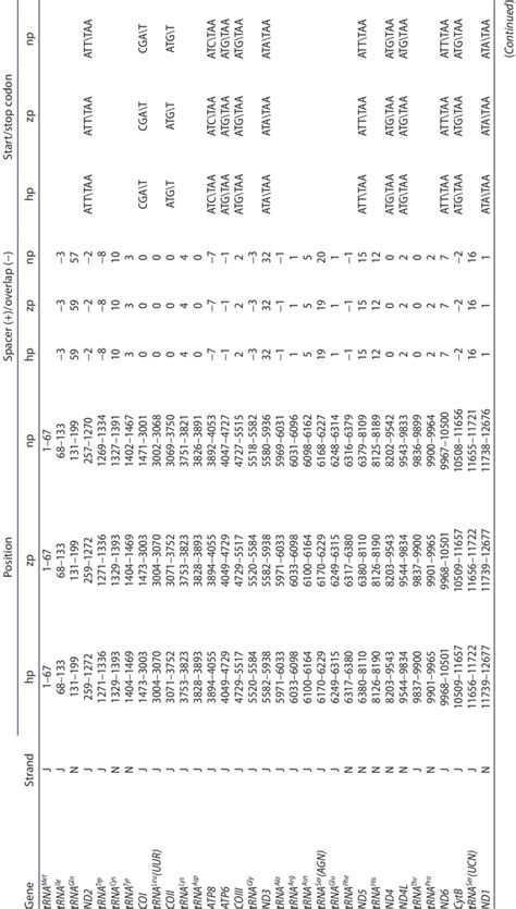 Gene Organisation And Codon Usage Of The Mitogenomes Of Three