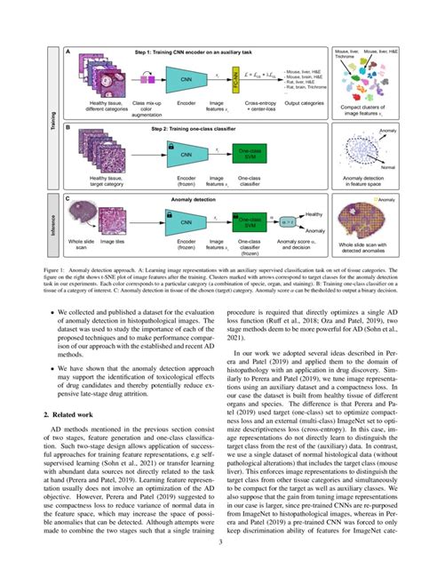 learning image representations for anomaly detection application to