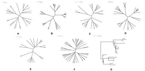 Trees Used To Guide Dataset Simulations Tree Heights Are 0 7 0 5 Download Scientific Diagram