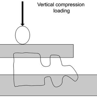 Schematic Diagram Of Compression Loading Download Scientific Diagram