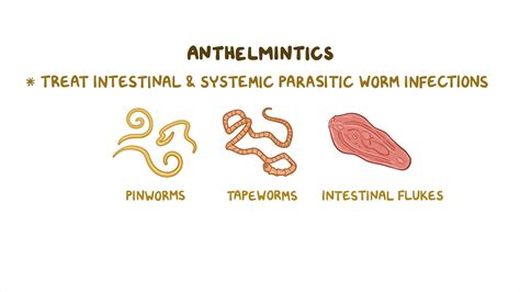 An Anthelmintic Is Used For Treating Which Of The Following