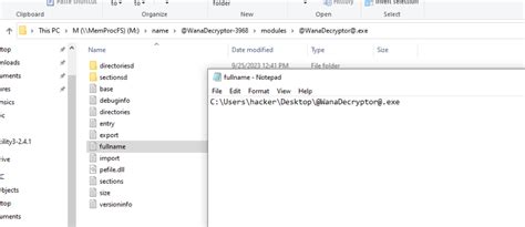 MemProcFS Part 1 Scavengers Repo