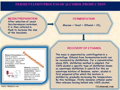 Ethanol Fermentation Process