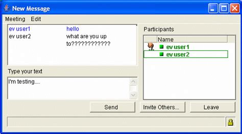Evalid Ibm Lotus Sametime 7 Chat Recordplay Support