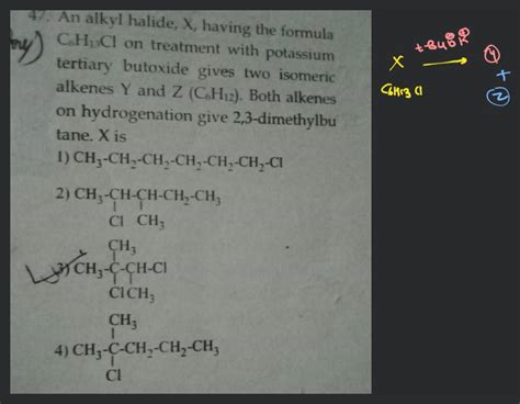 An alkyl halide, X, having the formula \mathrm{C}{6} \mathrm{H}{13} \math..
