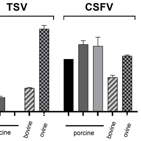 Viral Replication Of Tunisian Sheep Like Virus Tsv Isolate Download Scientific Diagram