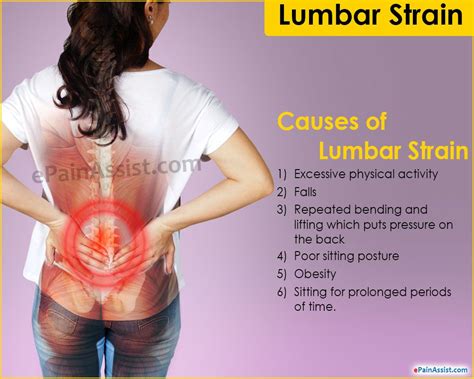 5 Exercises For Low Back Muscle Strain Expert Recommendations Artofit