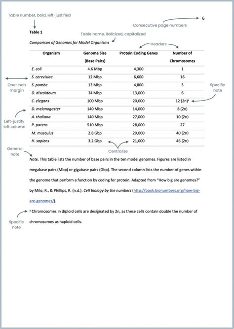APA Format Formatting Rules Explained TypeCite