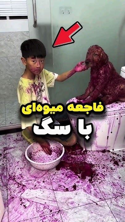 بچه‌ای که با سگش میوه می‌خورد Youtube