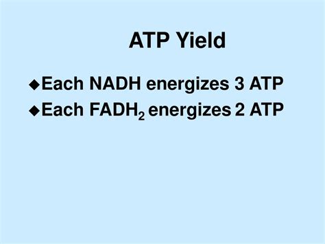 PPT Cellular Respiration Harvesting Chemical Energy PowerPoint Presentation ID 1185720