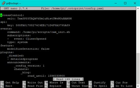 Having Issues With Startup Script Not Running Get Help Octoprint