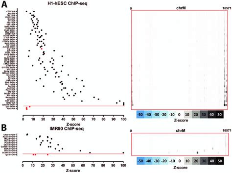 Signal Distribution Over The Mitochondrial Genome In Human Chip Seq