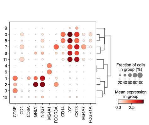 Scanpy04clustering