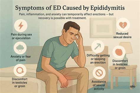 Does Epididymitis Cause Ed Allo Health Blog