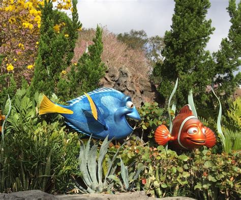Wordless Wednesday Finding Doryor Finding Nemo The Memorable