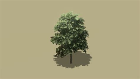 Medium Poly Tree 3d Model By Montelo3d [aa09fa6] Sketchfab