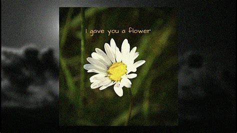 Free Lo Fi Type Beat Daisy Youtube