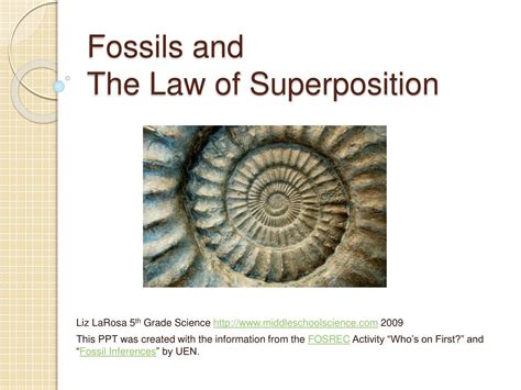 Ppt Fossils And The Law Of Superposition Powerpoint Presentation Free Download Id957375