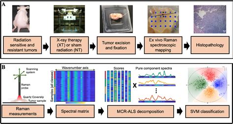 figure 1 from label free raman spectroscopy reveals signatures of
