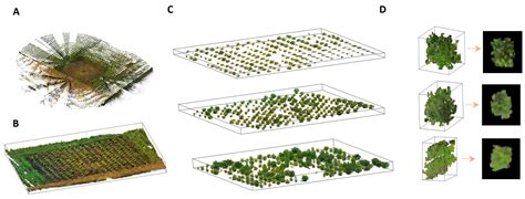 Soybean Canopy Stress Classification Using 3d Point Cloud Data