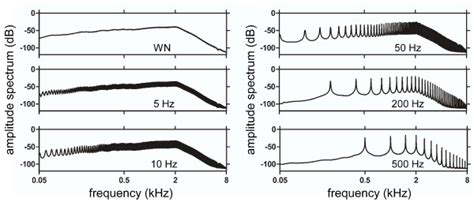 Stimuli Amplitude Spectra Of The White Noise Wn 5 10 50 200 Download Scientific