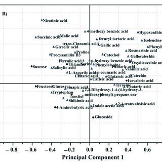 PLS DA Results Of Score A And Loading Plots B Of Principal