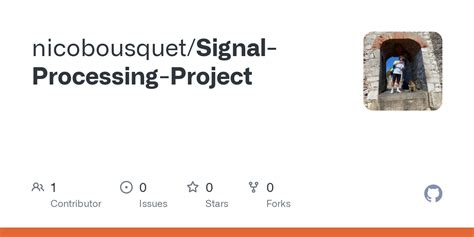 GitHub Nicobousquet Signal Processing Project