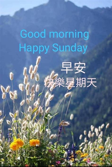 Pin By Asdf On Good Morning Greetings Good Morning Happy Sunday Good