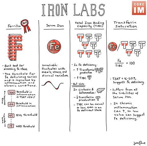 Peer Review Dr Adam Strauss Dr Elliot Tapper