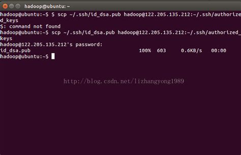 hadoop主从节点之间建立ssh无密码登录 简述在hadoop架构中 ssh在主从节点中的作用 csdn博客