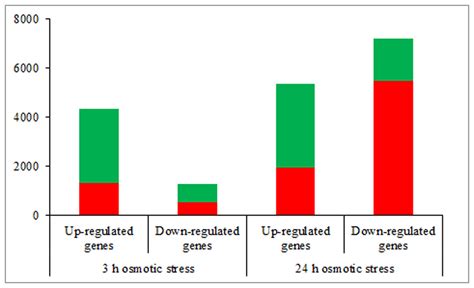 Transcriptome Analysis Of Osmotic Responsive Genes In Aba Dependent And