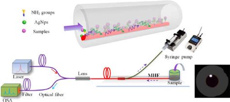 Diagram Of The Device For In Fiber Optofluidic Sers Detection Inset