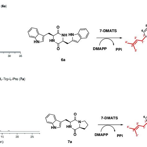 Hplc Analysis Of The Incubation Mixtures Of Selected Substrates Left Download Scientific