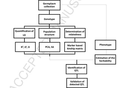a flowchart of natural population based mapping using diverse crop