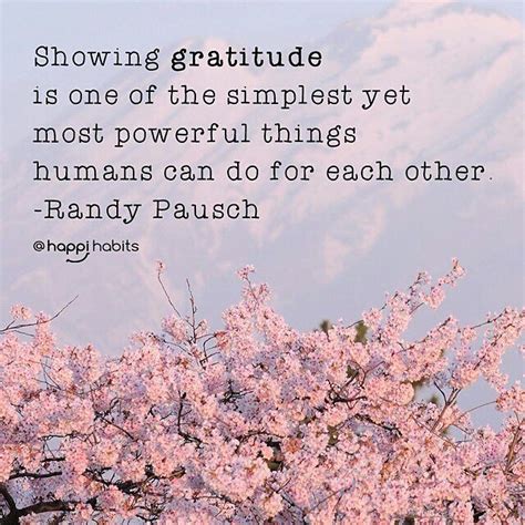 Showing Gratitude Is One Of The Simplest Yet Most Powerful Things Humans Can Do For Each Other