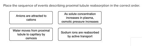 solved place the sequence of events describing proximal