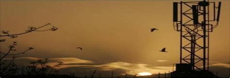 The Telecom Introduction To Drive Test Drive Test Is The First Course