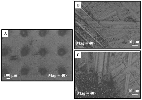 Coatings Free Full Text Investigating The Synergistic Effect Of Electrochemical Texturing
