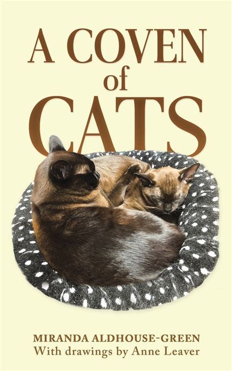 A Coven Of Cats W Opisie Książka W Empik