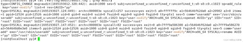 利用audit审计系统行为 audit是什么进程 csdn博客