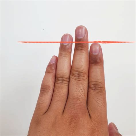 검지 약지 길이 로 알아보는 성격유형 재미로 네이버 블로그