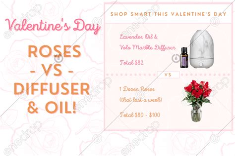 Price Comparison Roses Vs Diffuser And Oil By Mandi Dragon