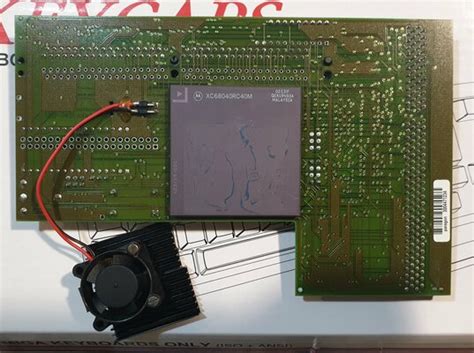 Sold Amiga 1200 Apollo Accelerator Board 1240 68040 16mb Fast Ram Amibay