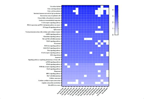 Heatmap Of Predicted Interactions Between Differentially Expressed