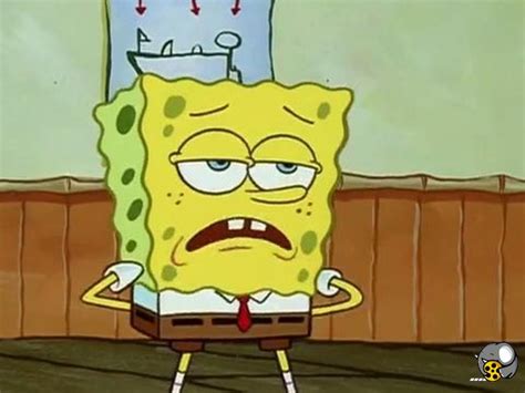 باب اسفنجی این قسمت دعوای باب و پاتریک فیلو