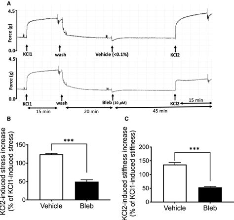 Blebbistatin Inhibits Depolarization‐induced Aortic Stress And